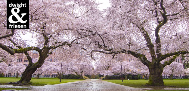 Spring Trimester Begins Today • dwight j. friesen